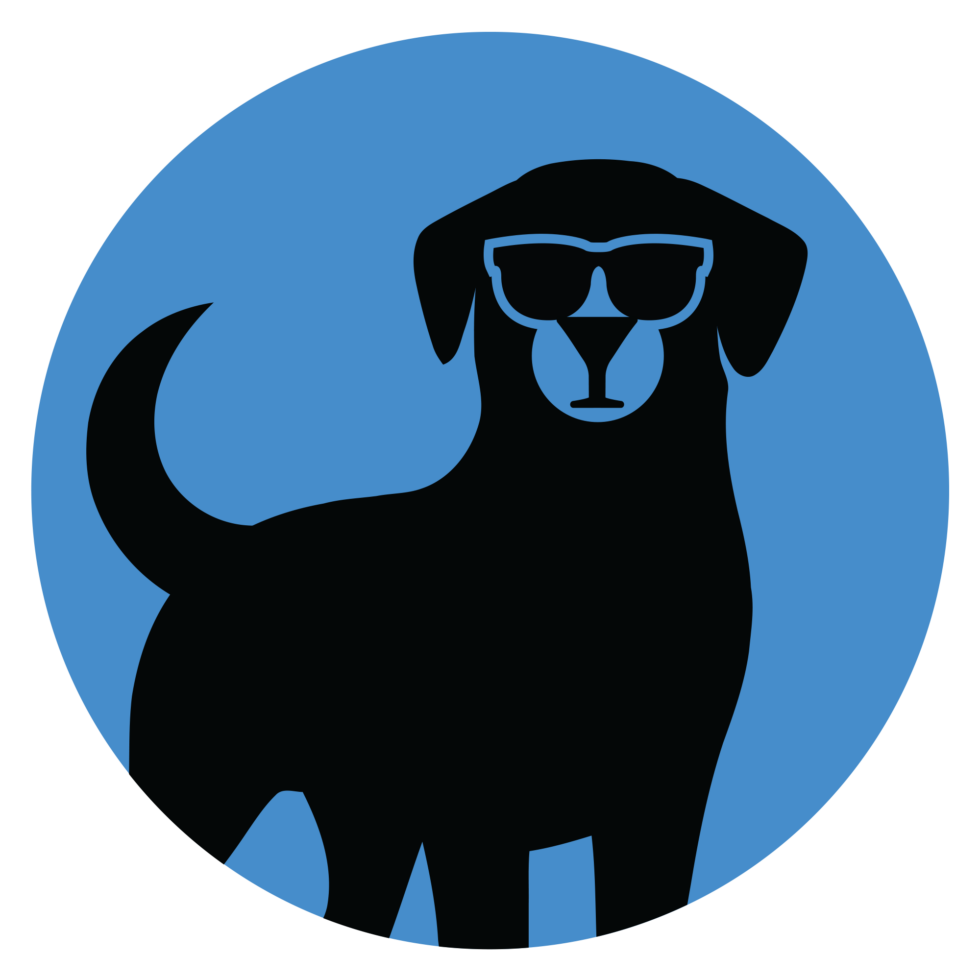 Martini Labs and MAX Coin: Stirring Up the Future of Crypto with ...